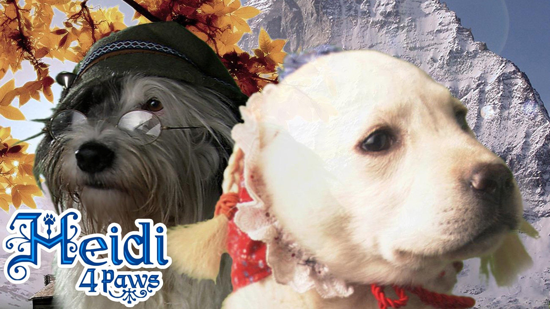 Heidi 4 Paws (2008) - Plex