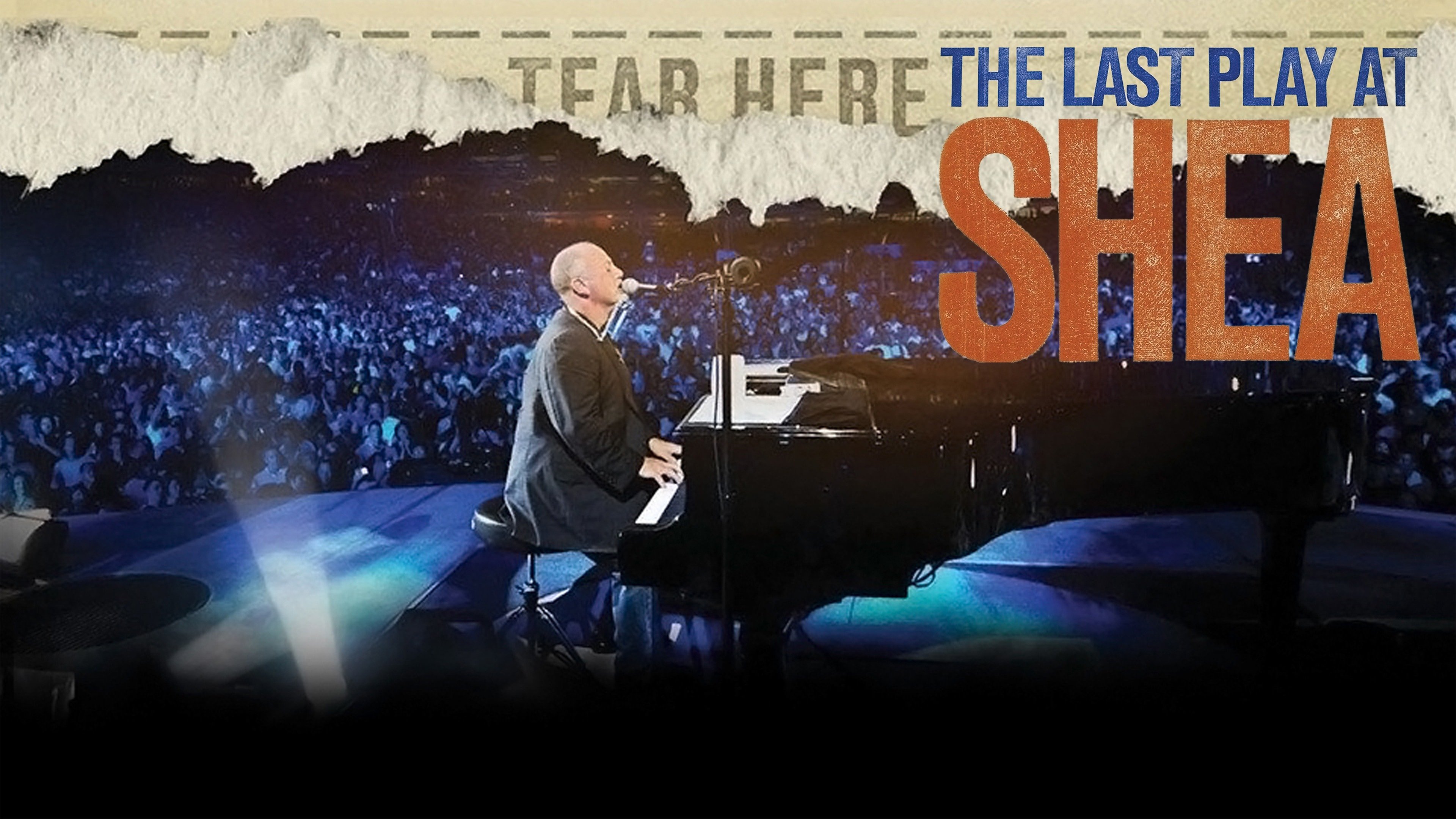 Watch The Last Play at Shea (2010) Full Movie Free Online - Plex