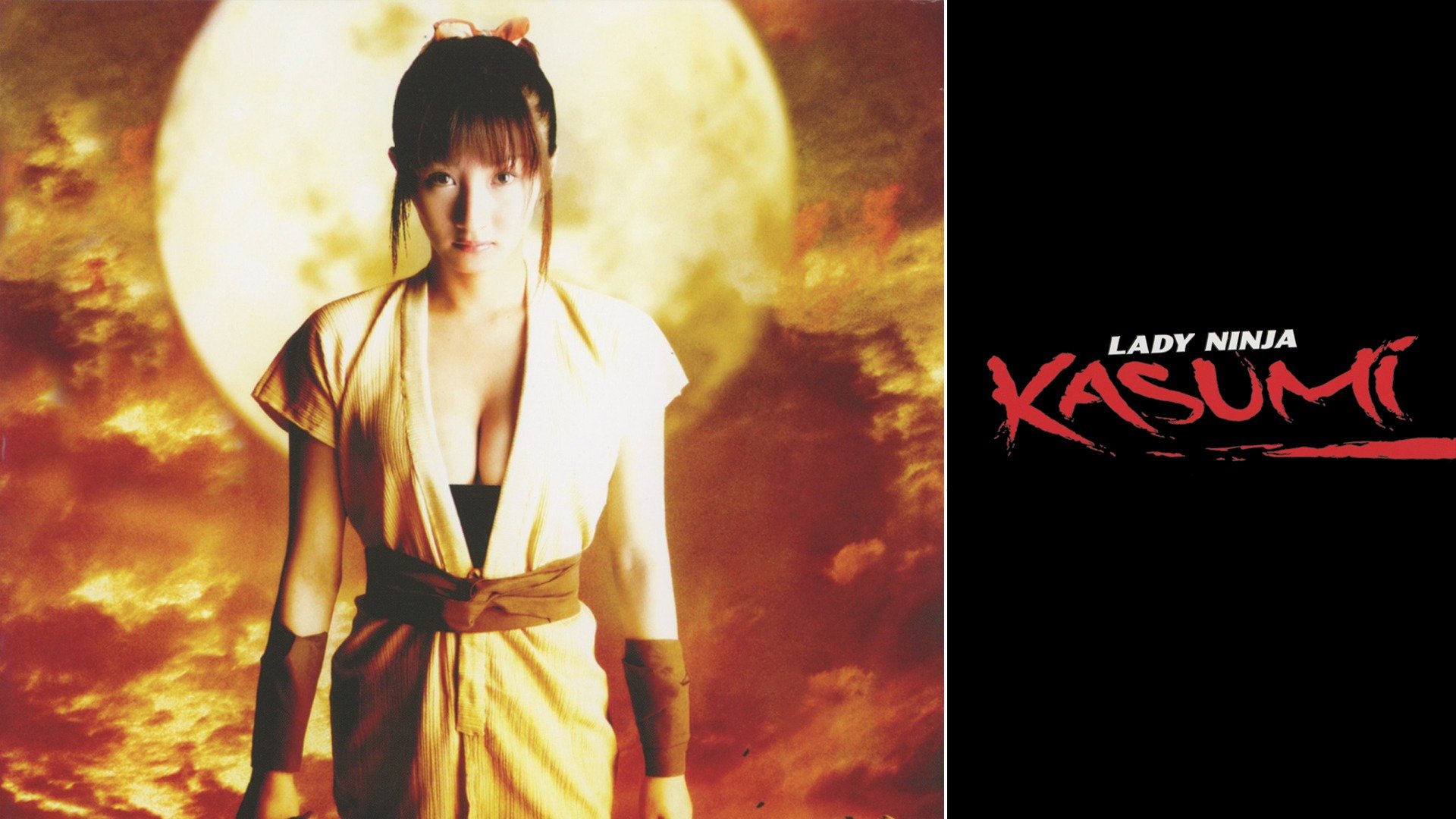 Lady Ninja Kasumi: Vol. 1 (2005) - Plex