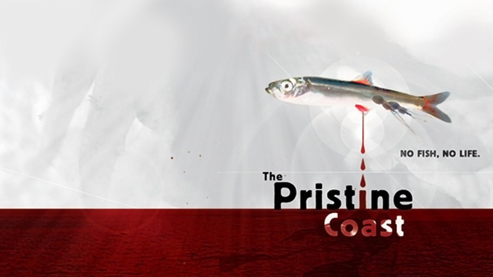 The Pristine Coast (2014) - Plex