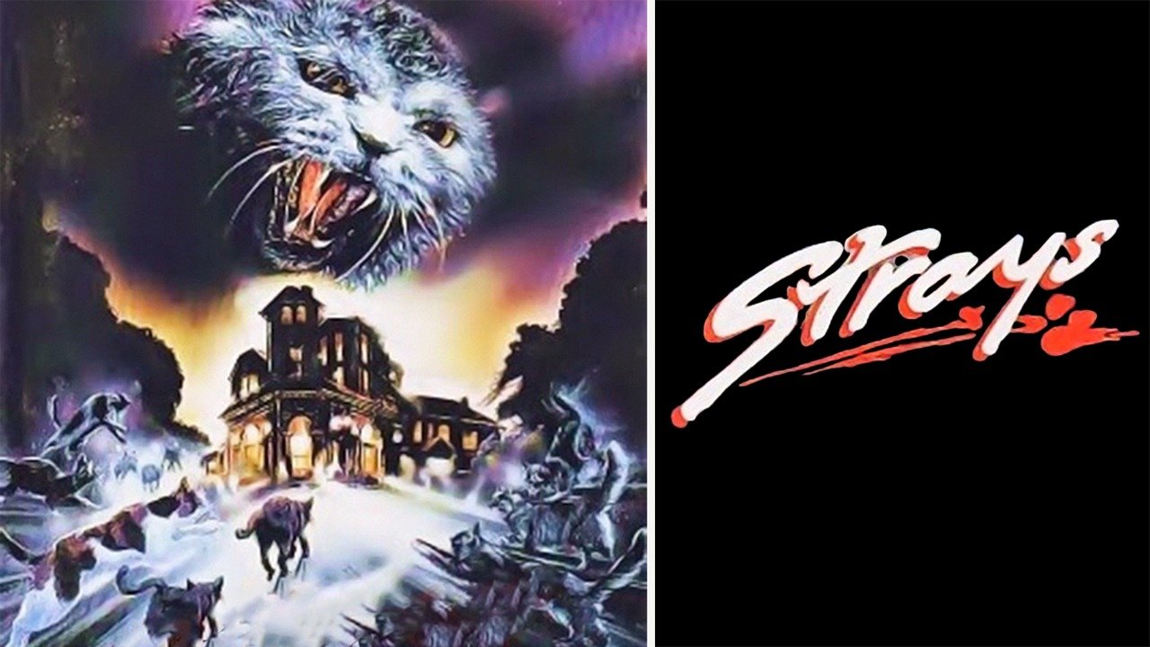 Strays (1991) - Plex