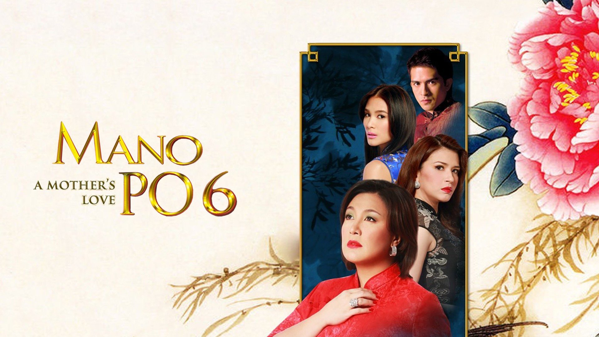 Watch Mano Po 6 A Mothers Love 2010 Full Movie Online Plex