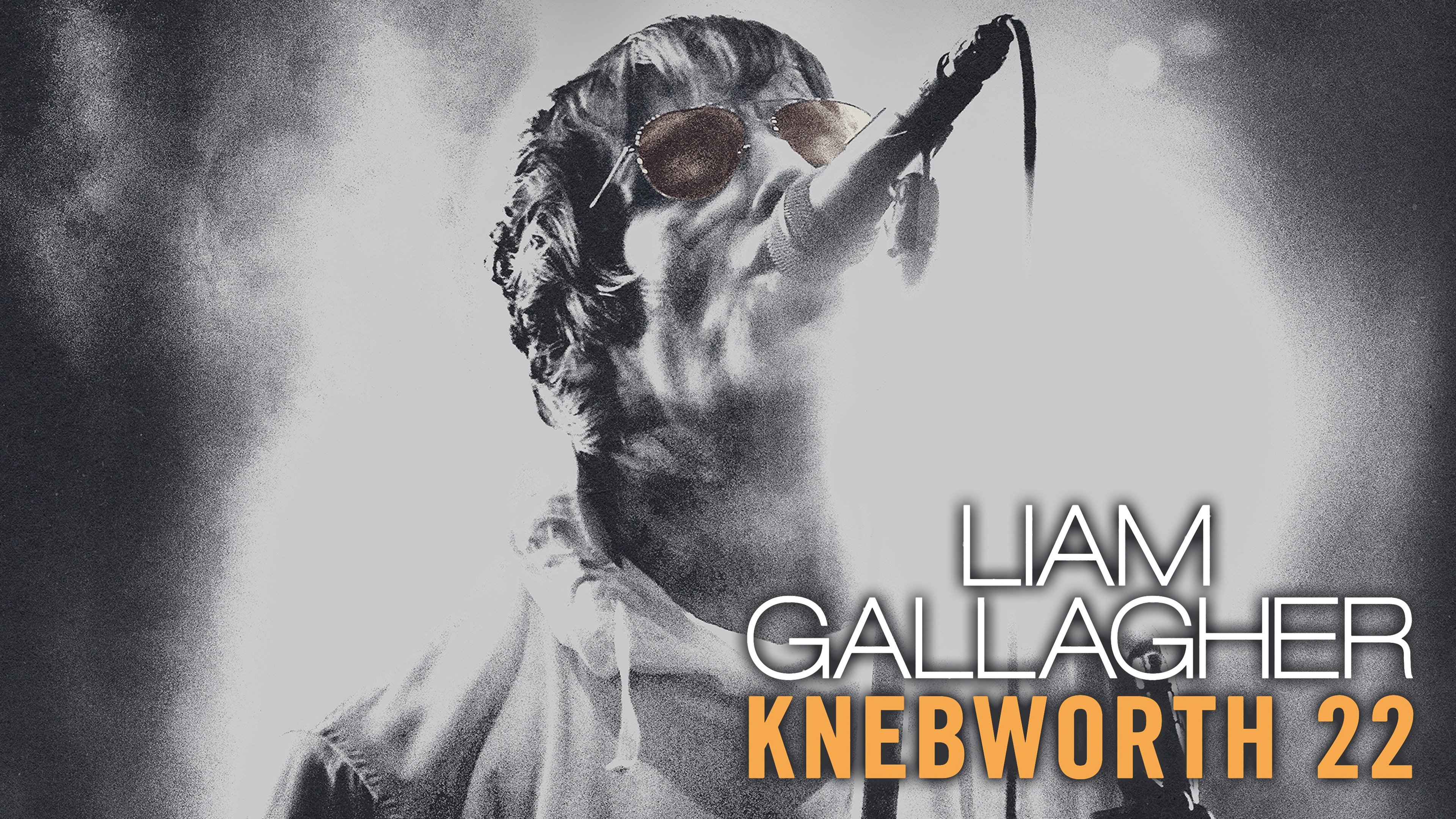 Liam Gallagher: Knebworth 22 (2022) - Plex