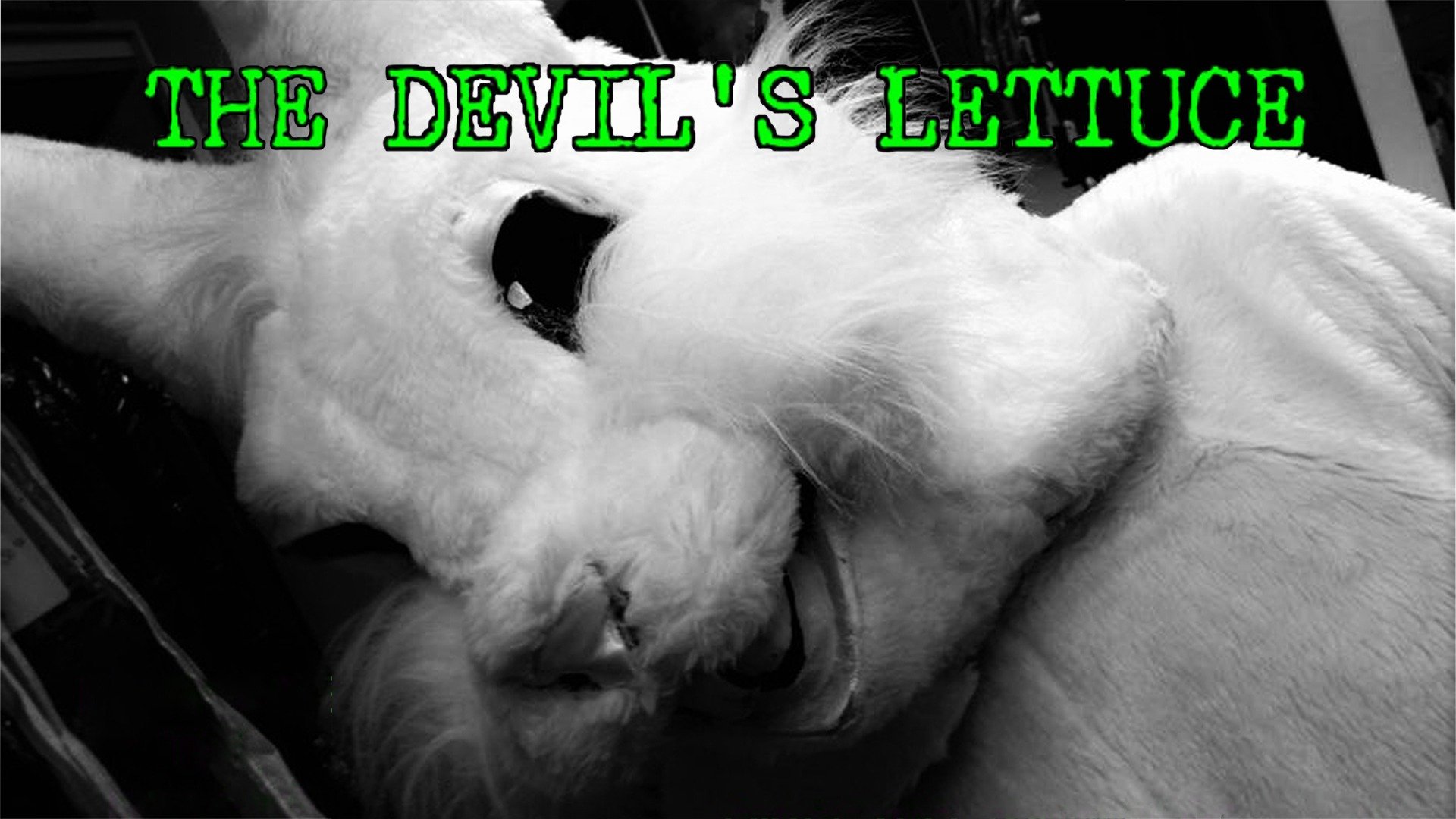 Watch The Devil's Lettuce (2016) Full Movie Online - Plex