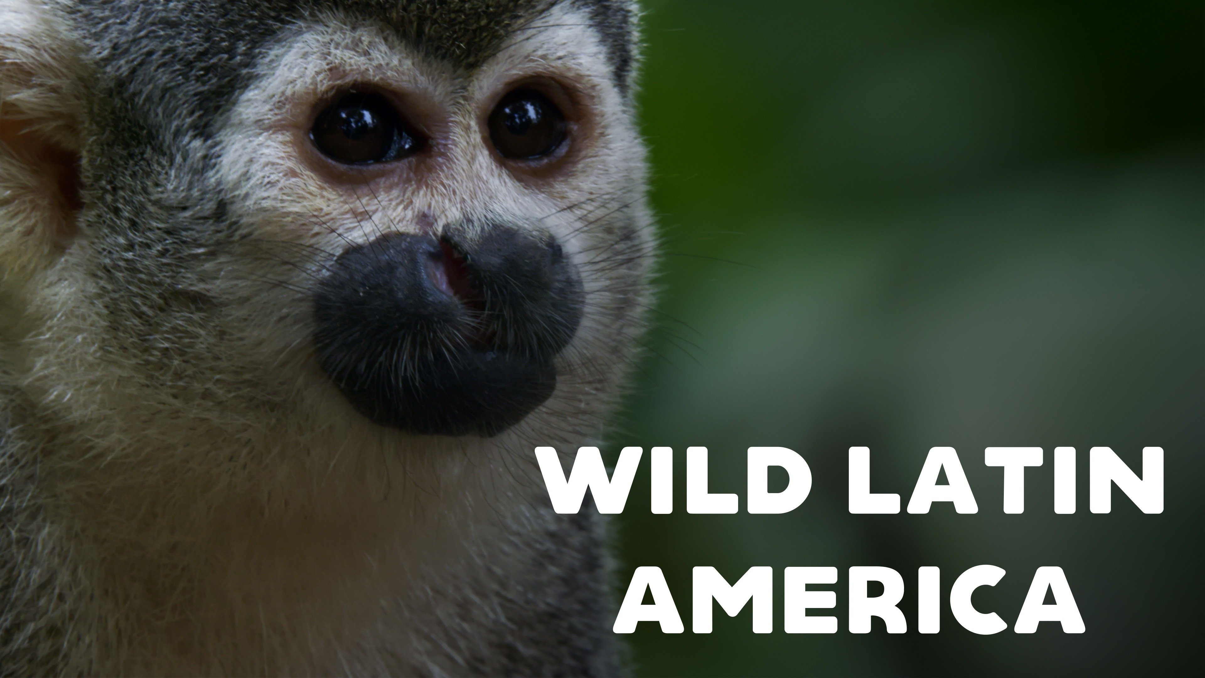 Watch Wild Latin America · Season 1 Full Episodes Online - Plex