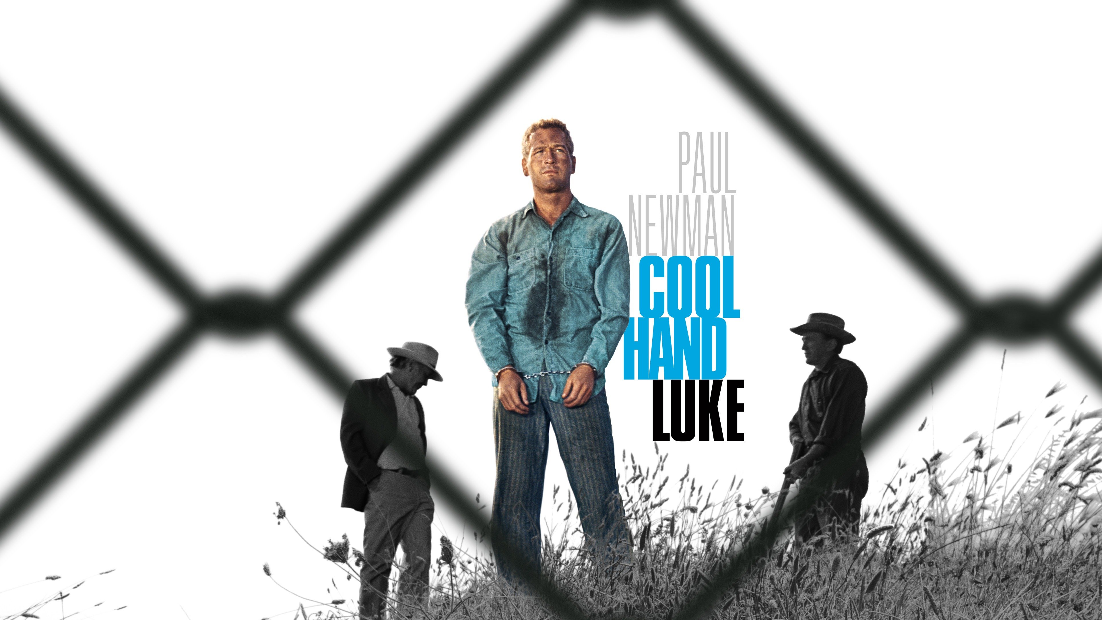 Watch Cool Hand Luke (1967) Full Movie Free Online - Plex