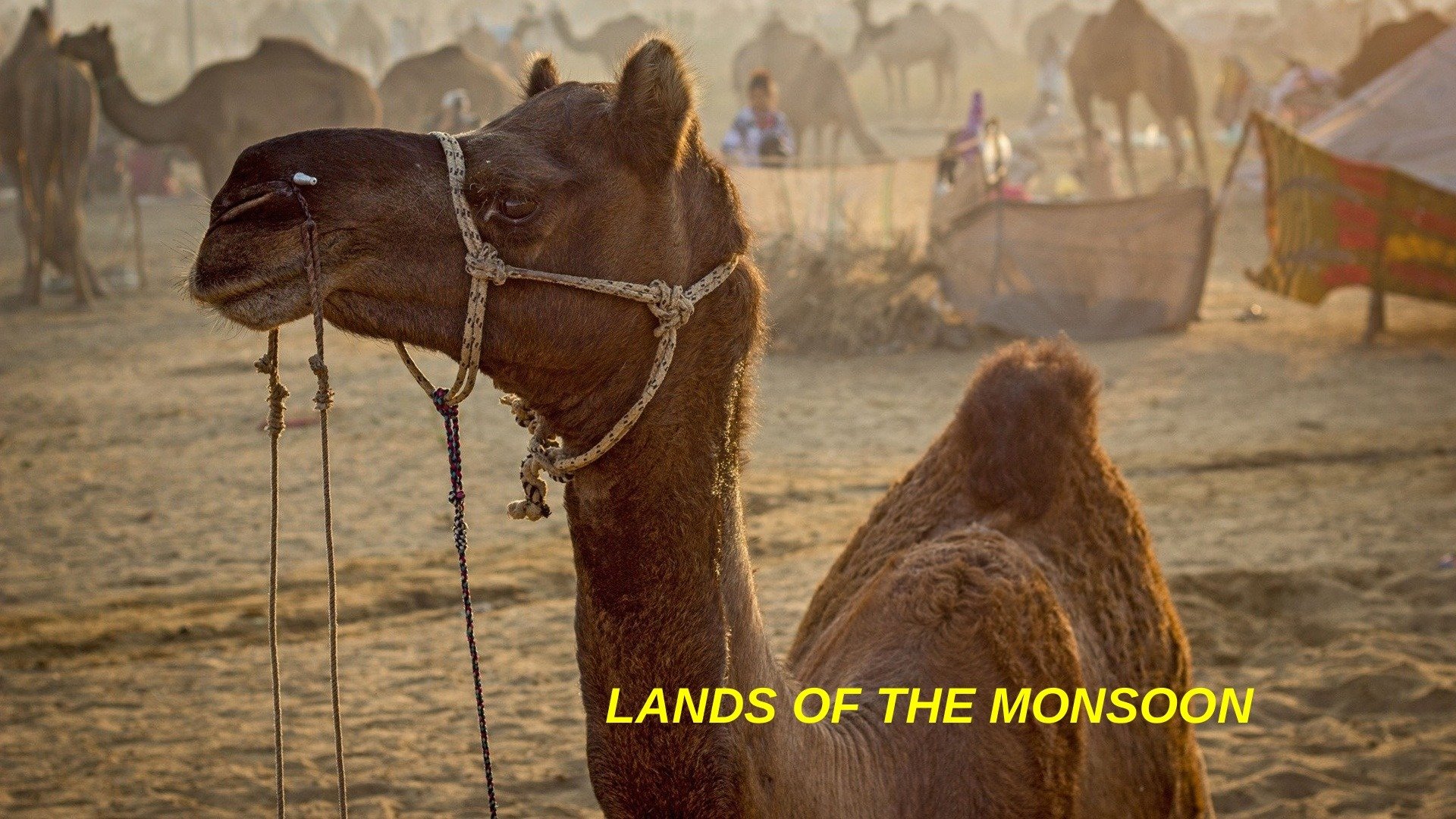 Watch Wonders of the Monsoon · Season 1 Full Episodes Online - Plex