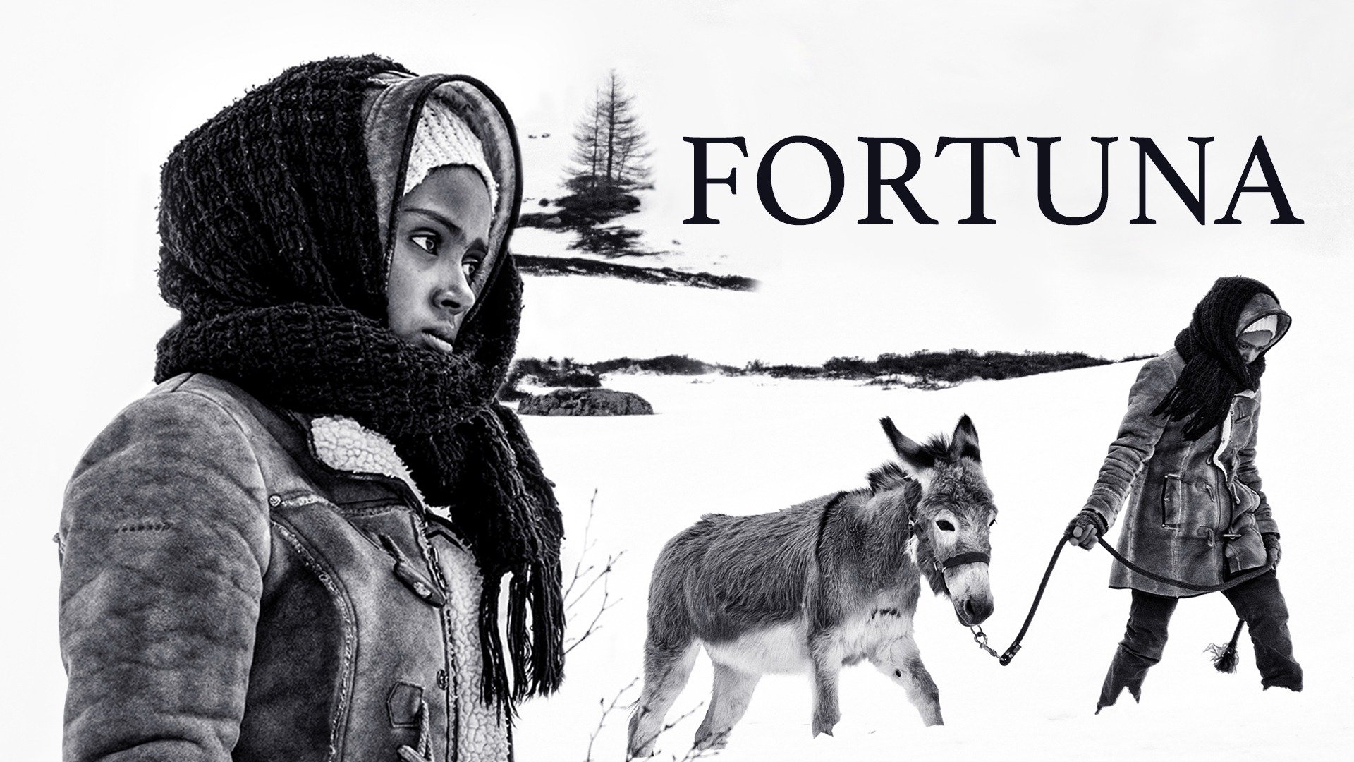 Fortuna (2018) - Plex