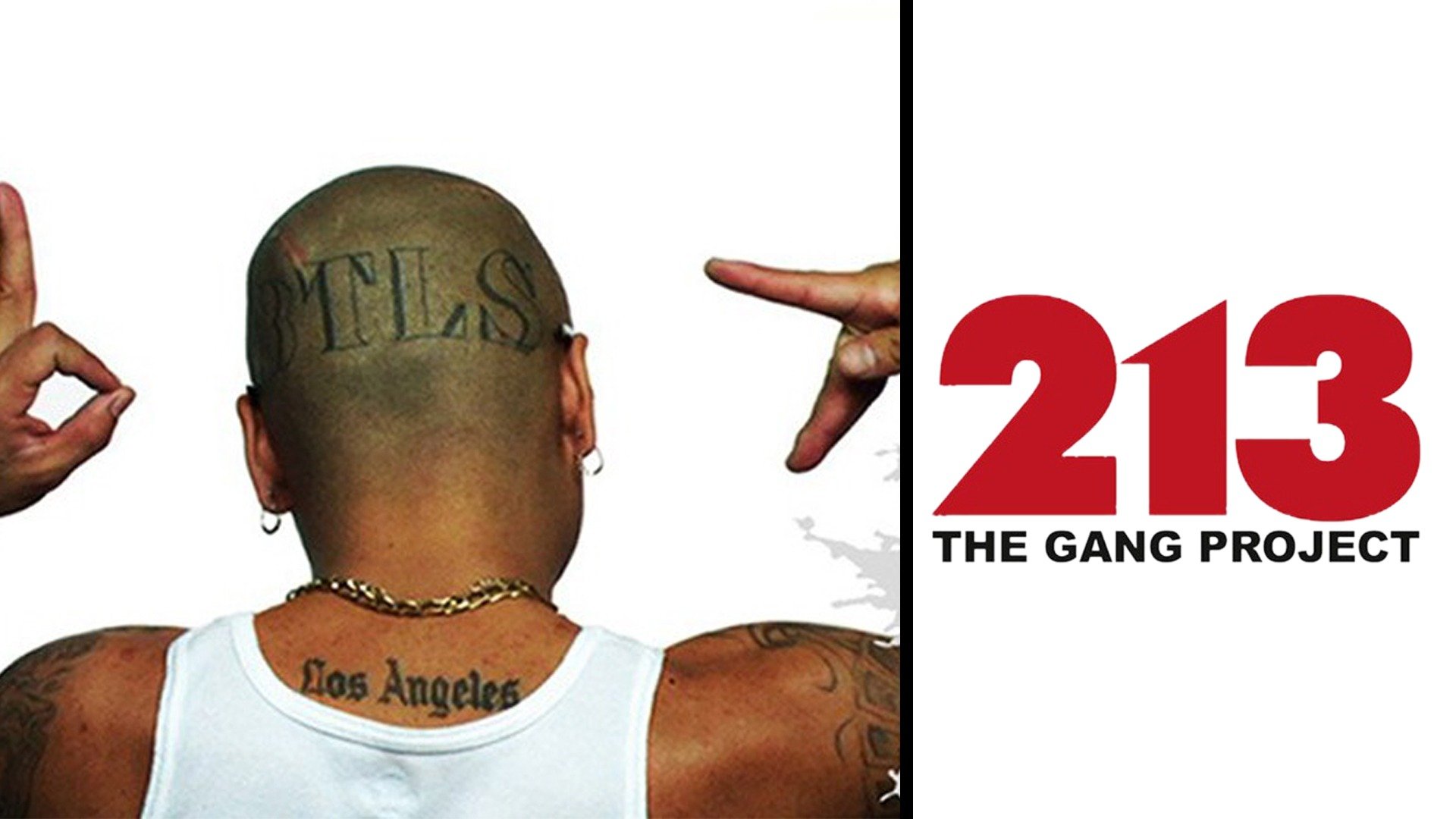 213 - The Gang Project - Plex