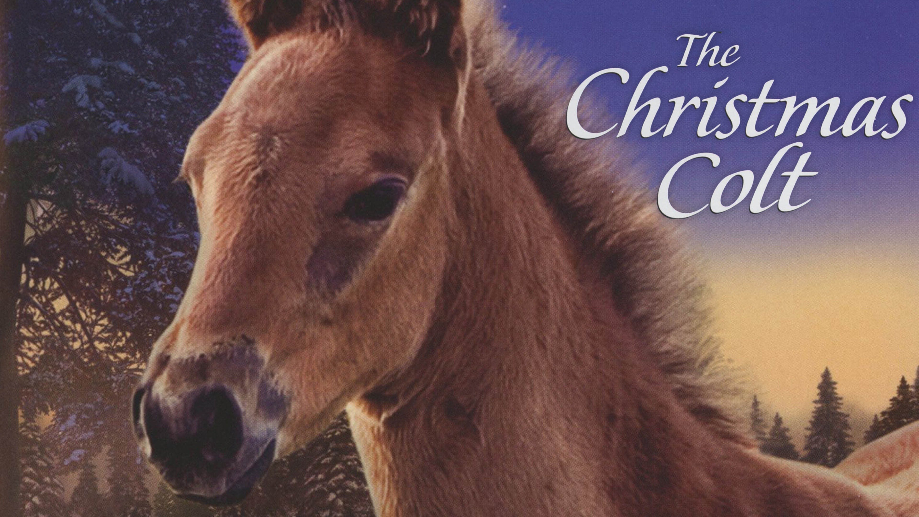 Watch The Christmas Colt (2013) Full Movie Free Online - Plex