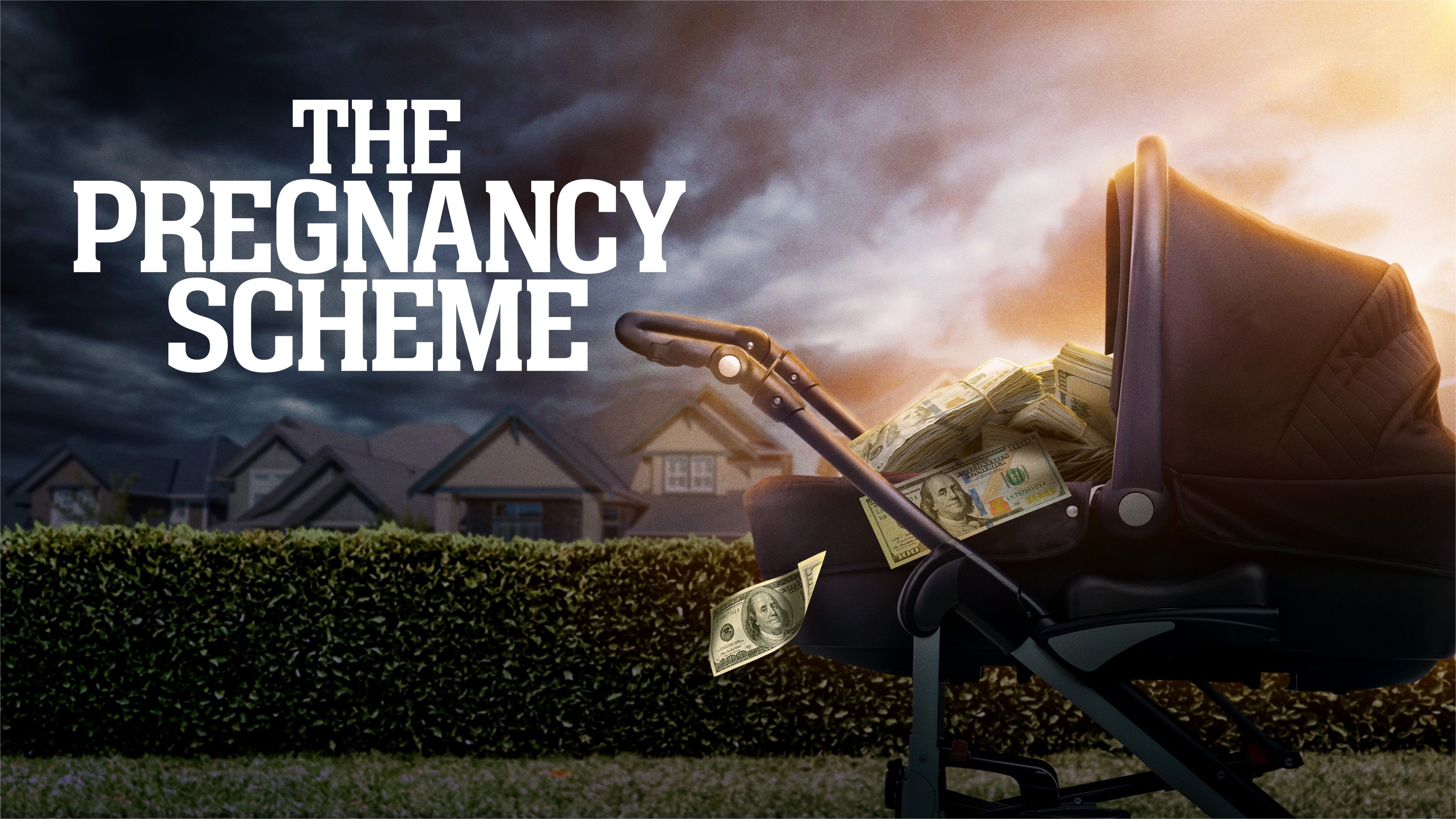 Watch The Pregnancy Scheme (2023) Full Movie Online - Plex