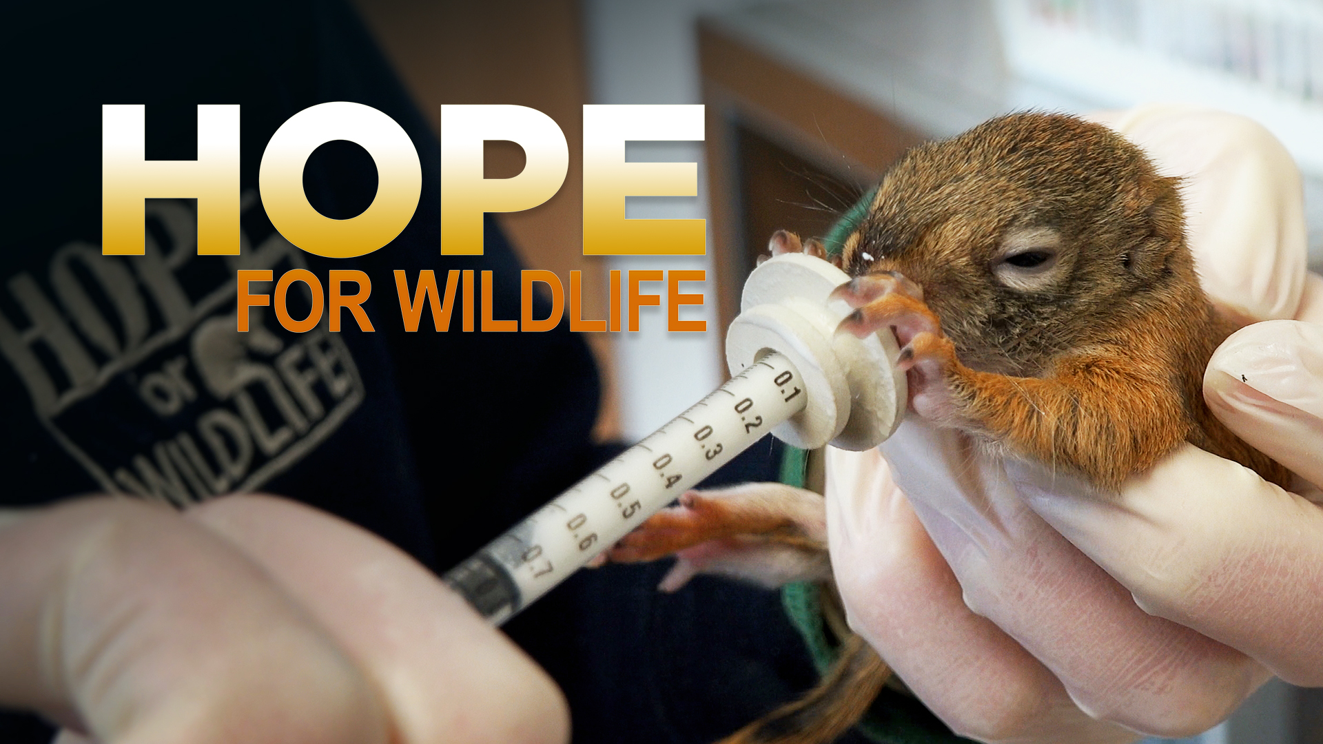 Hope for Wildlife · Season 7 - Plex