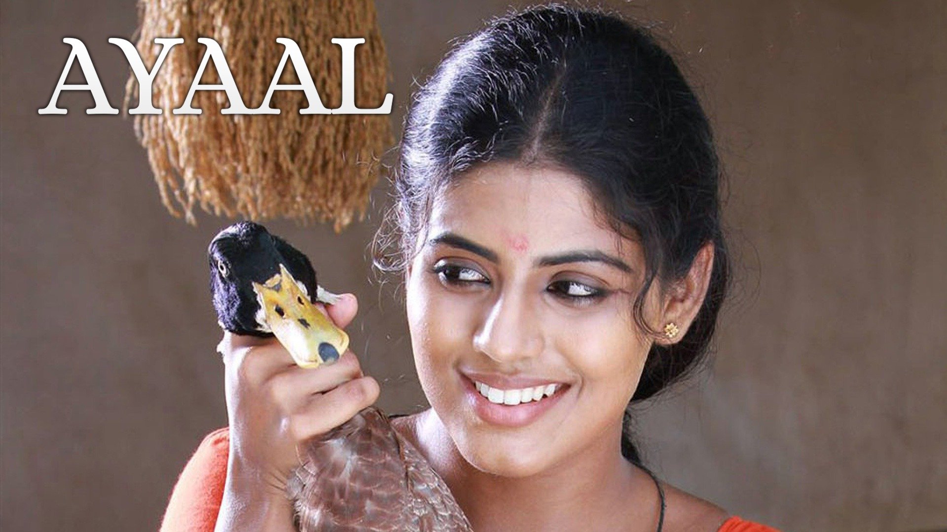 Watch Ayaal (2013) Full Movie Online - Plex