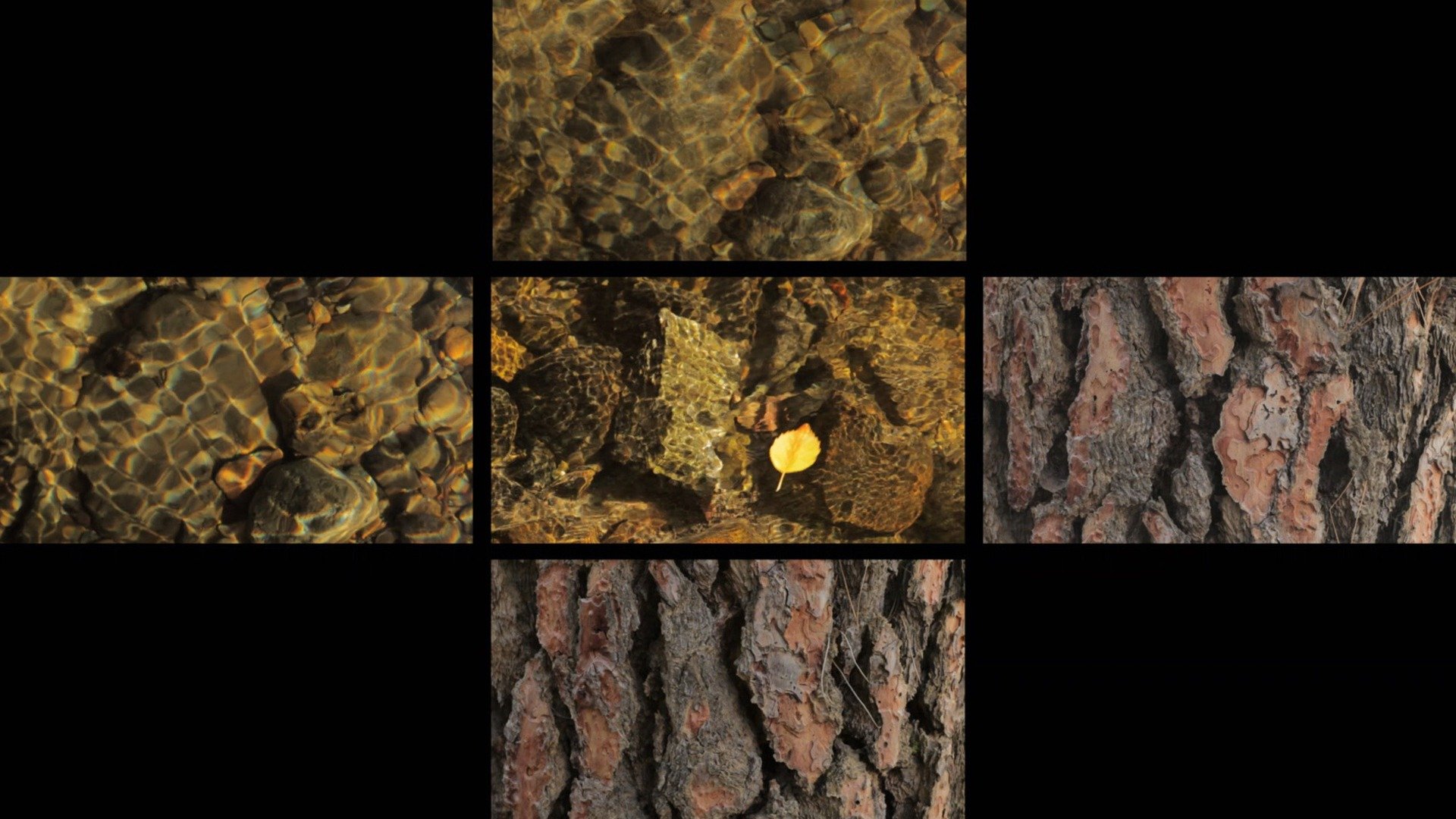 Uninterrupted (2012) - Plex