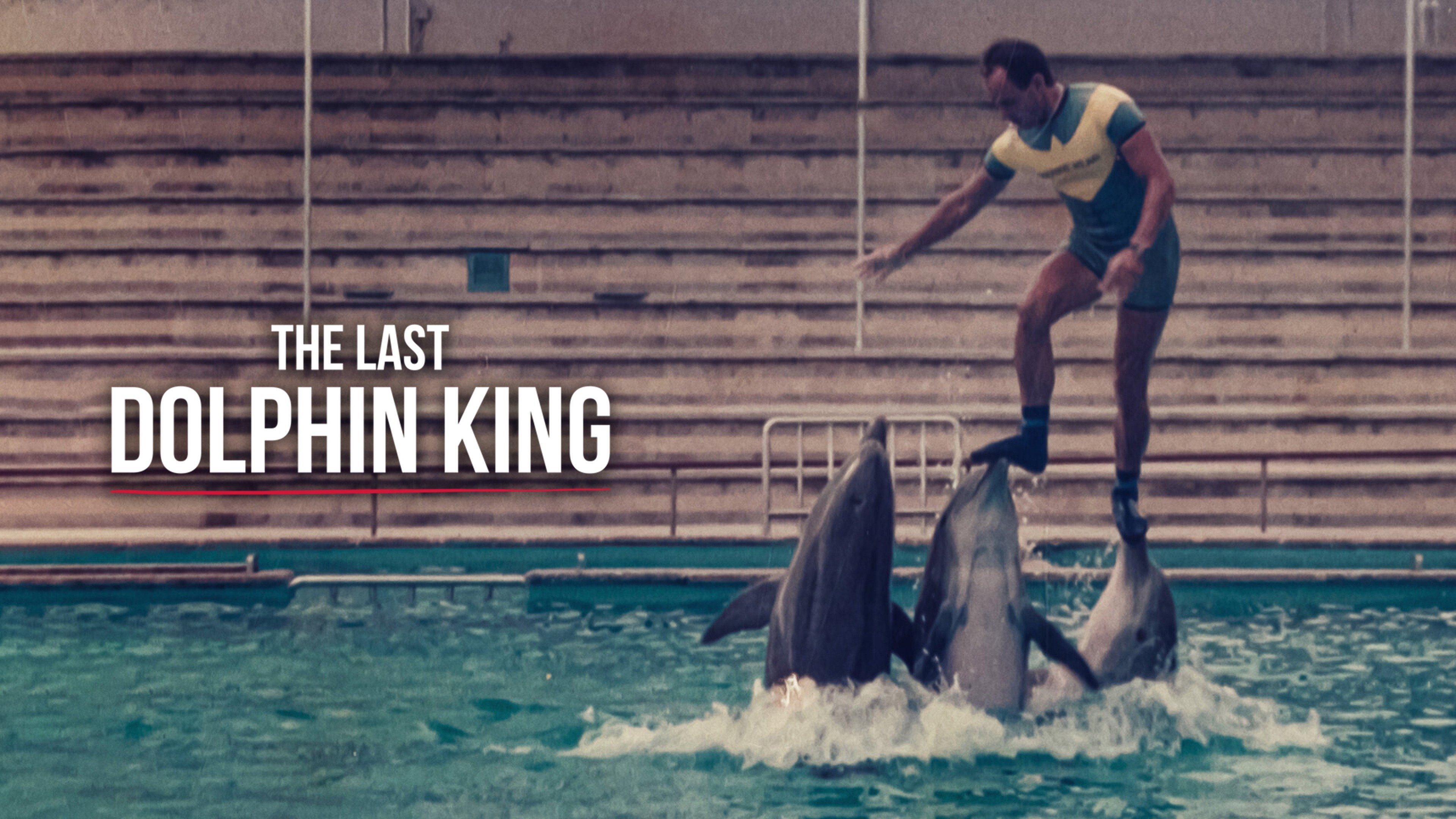 Watch The Last Dolphin King (2022) Full Movie Online - Plex
