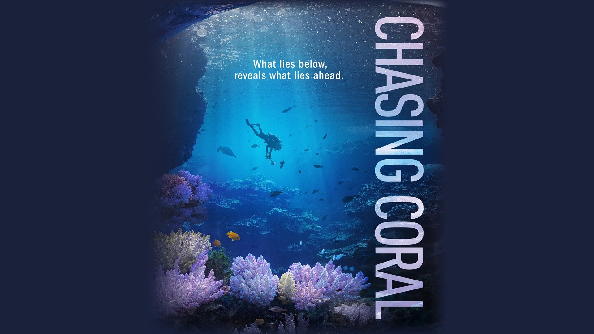 Watch Chasing Coral (2017) Full Movie Online - Plex