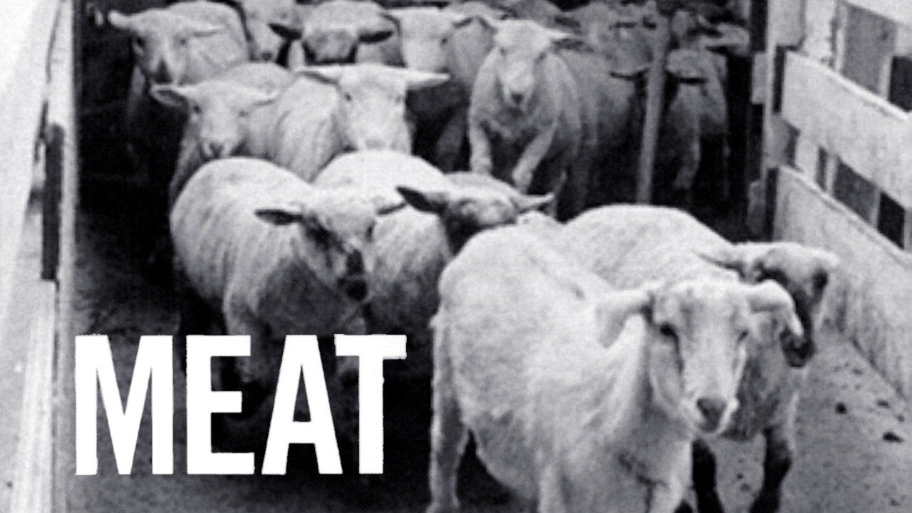 Watch Meat (1976) Full Movie Free Online - Plex