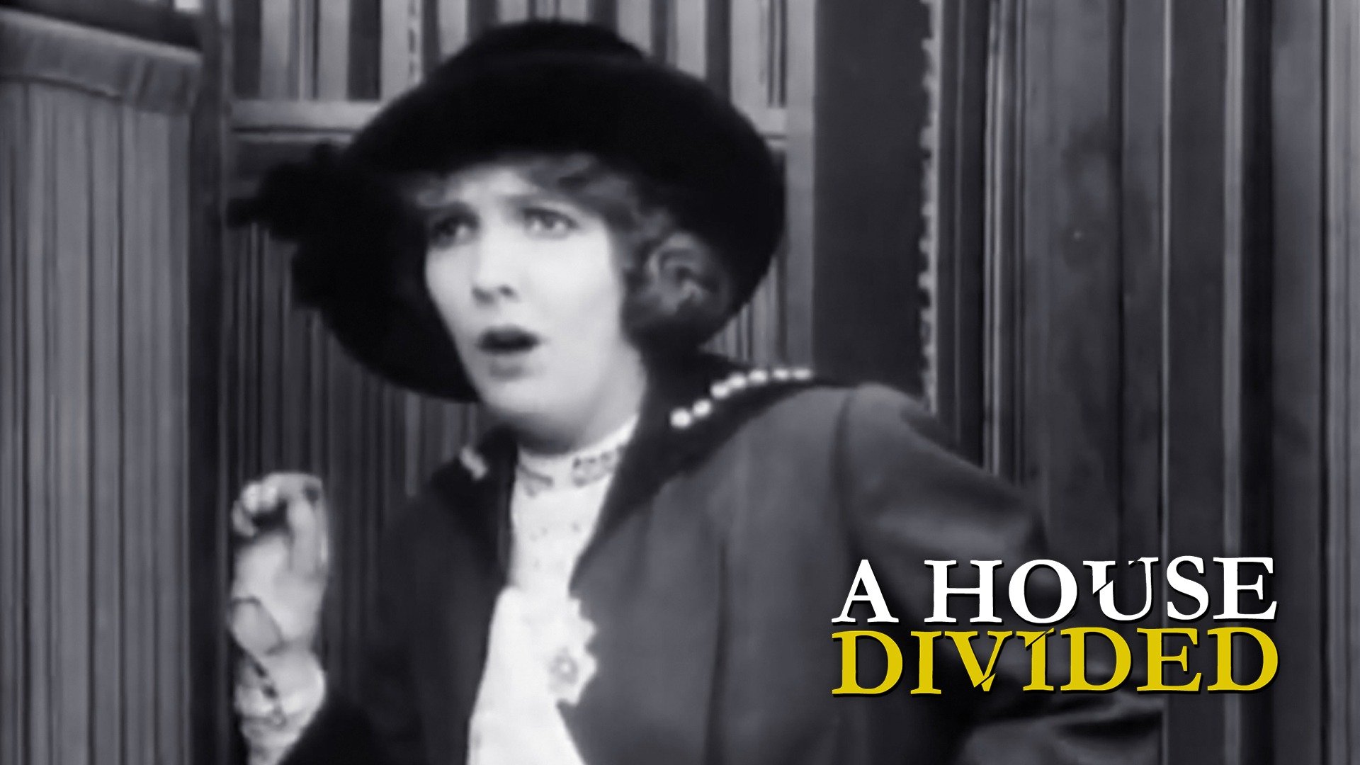 A House Divided (1913) - Plex