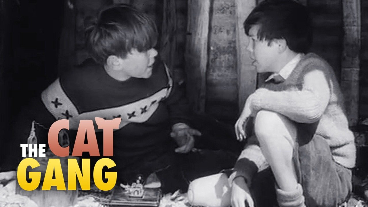 The Cat Gang (1958) - Plex