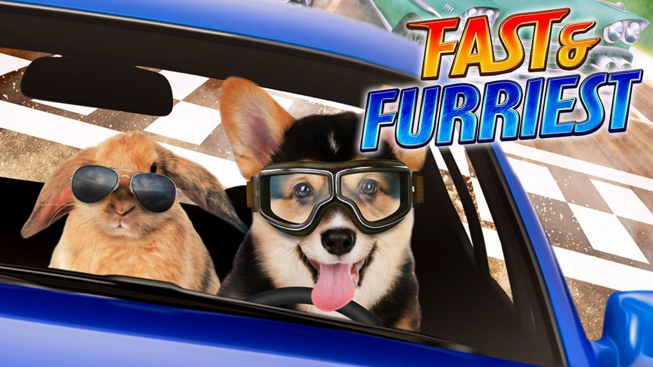 Watch Fast and Furriest (2017) Full Movie Free Online - Plex