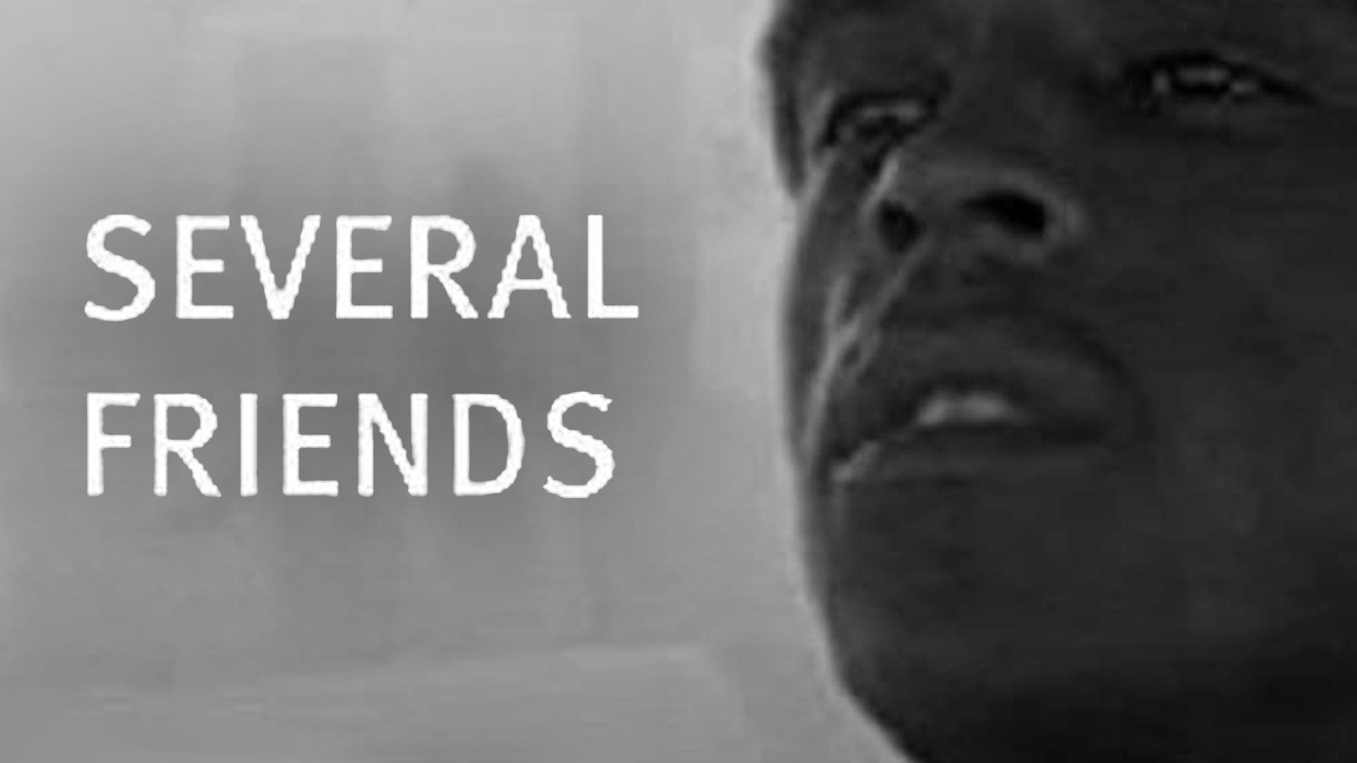 Watch Several Friends (1969) Full Movie Online - Plex