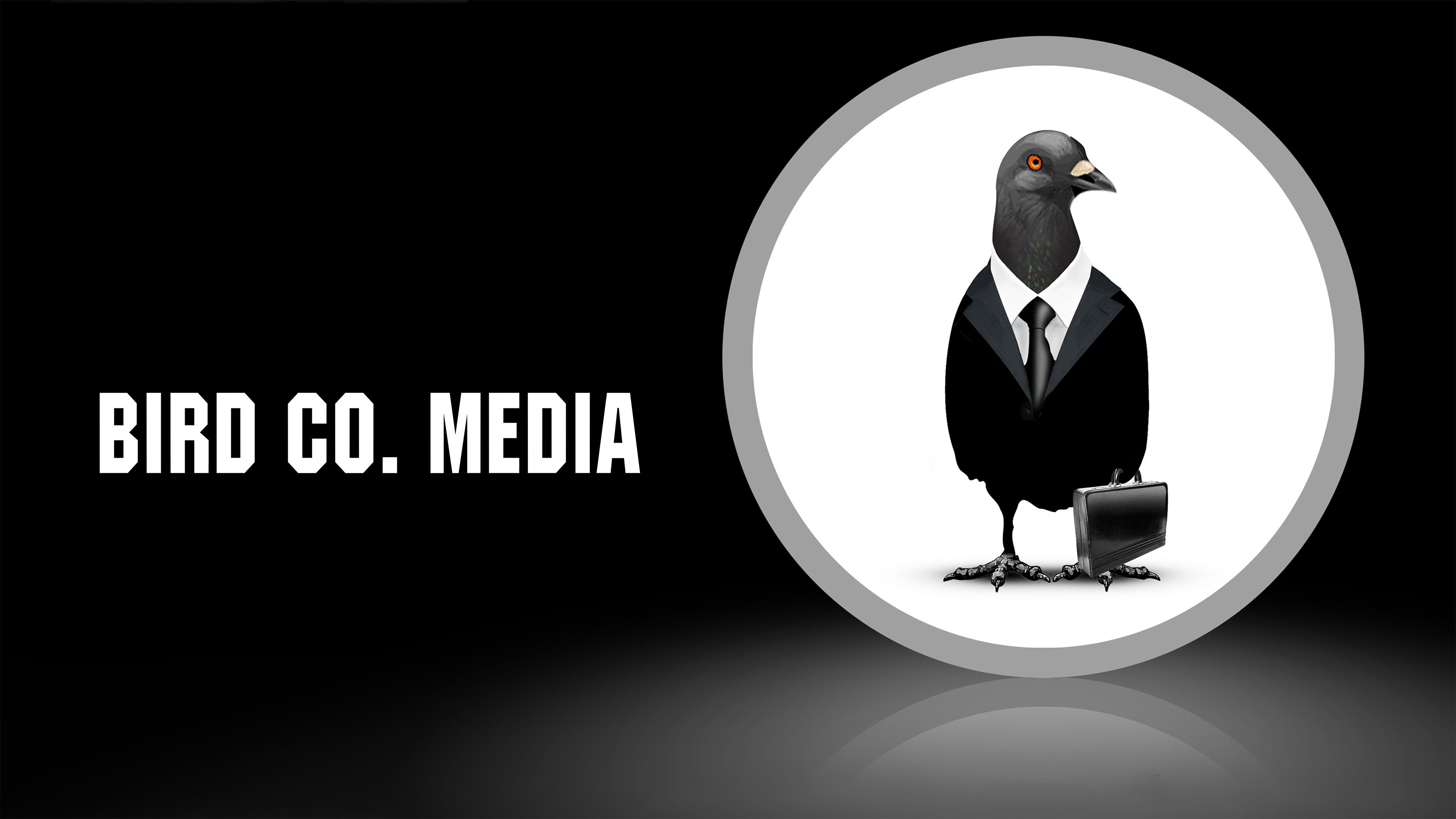 Bird Co. Media (2014) - Plex