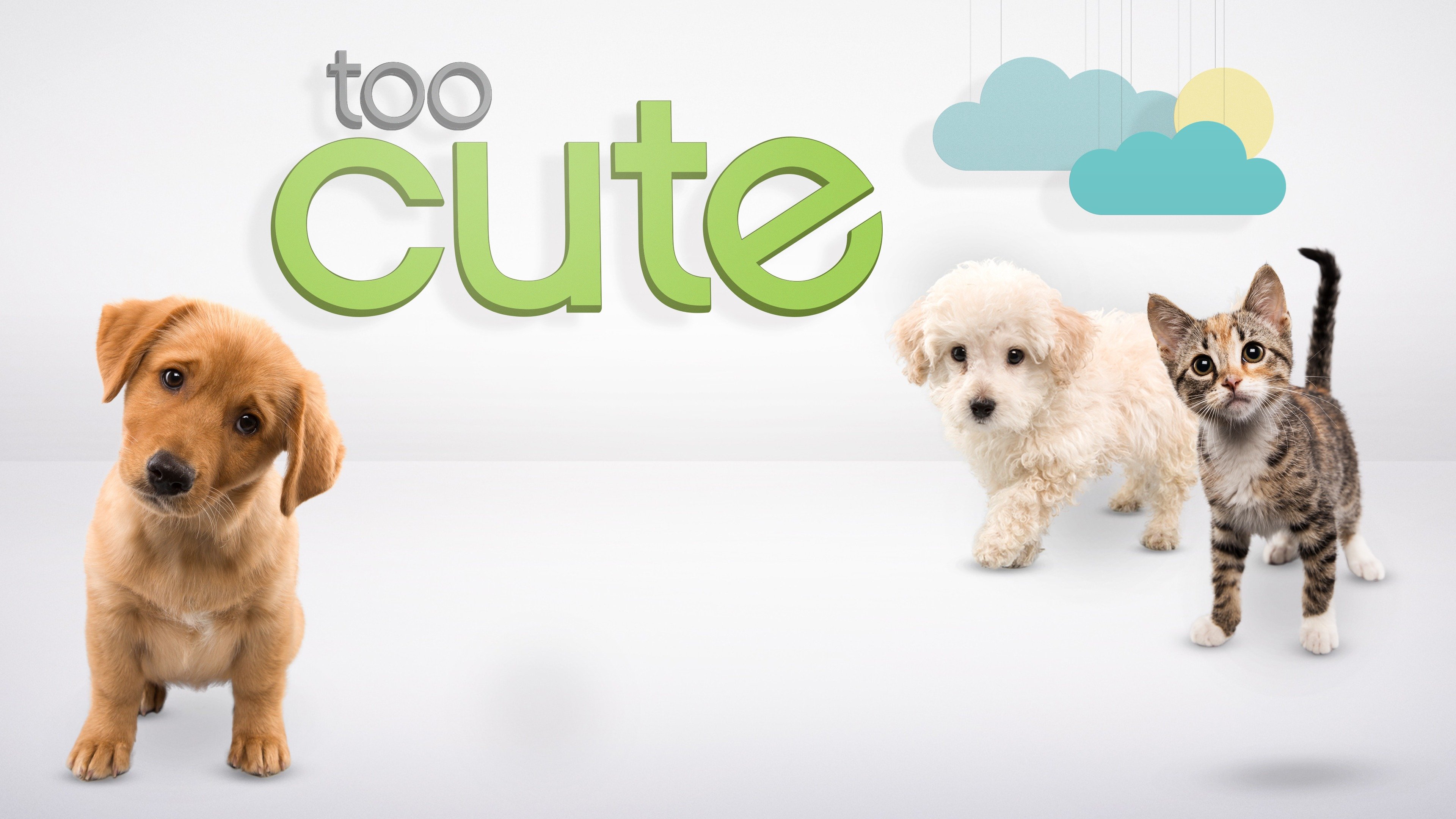 Watch Too Cute (2011) TV Series Free Online - Plex