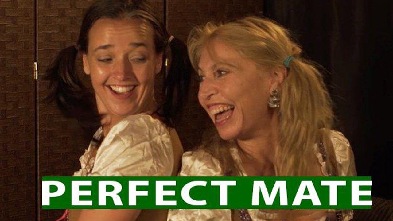 Watch Perfect Mate (2016) Full Movie Free Online - Plex