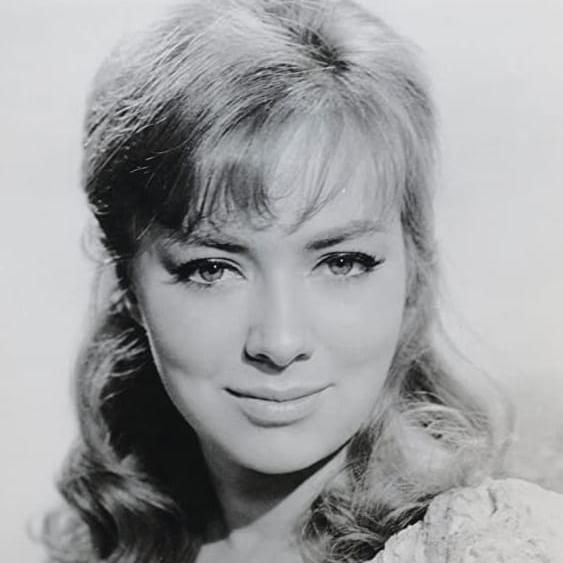 Beth Rogan Movies and TV Shows - Plex