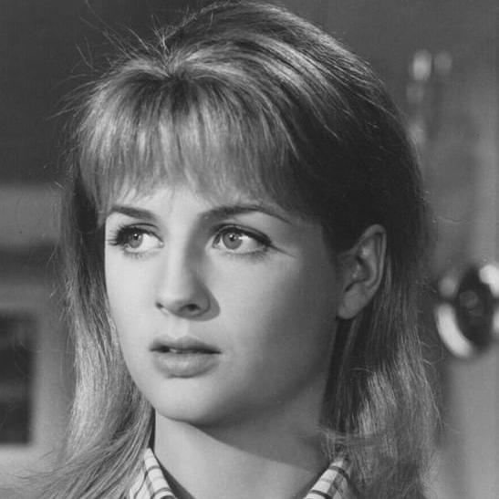 Kristin Harmon Movies and TV Shows - Plex